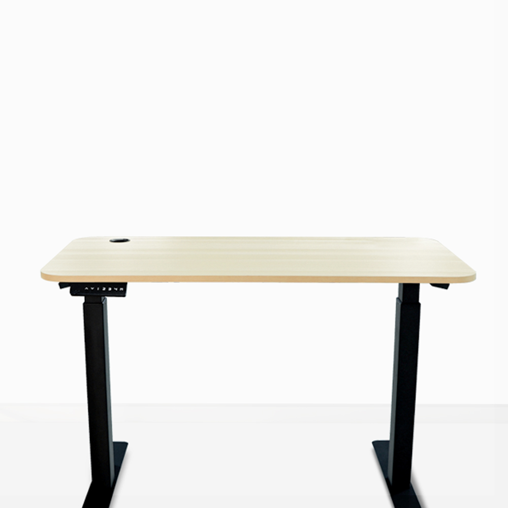Height Adjustable Electric Standing Desk&Table With USB function